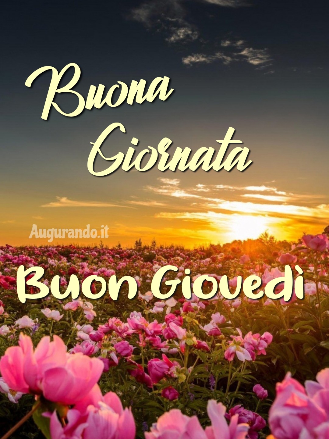 Buon Gioved Con Fantastiche Immagini Entra 