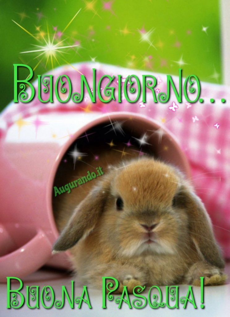 Le Migliori Immagini per una Buona Pasqua! Bellissime e Gratuite!