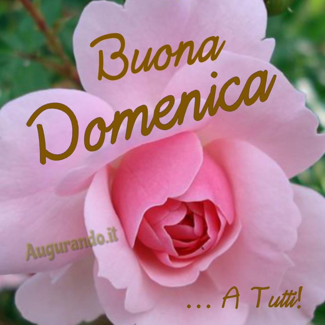 Immagini Fantastiche Per Una Buona Domenica Immagini Fantastiche Per Una Buona Domenica