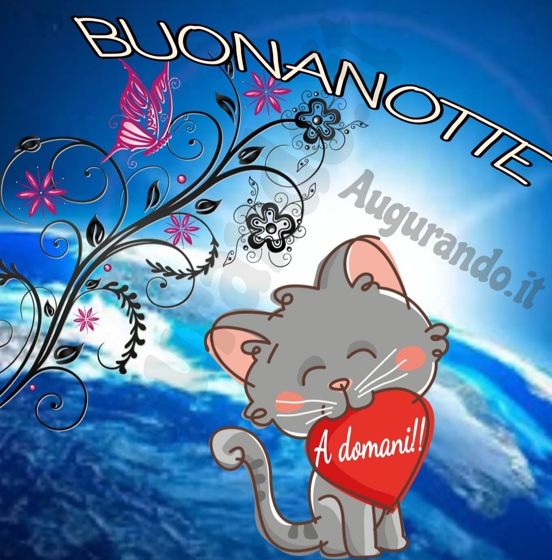 Le Migliori Immagini Della Buonanotte Per WhatsApp E Facebook 