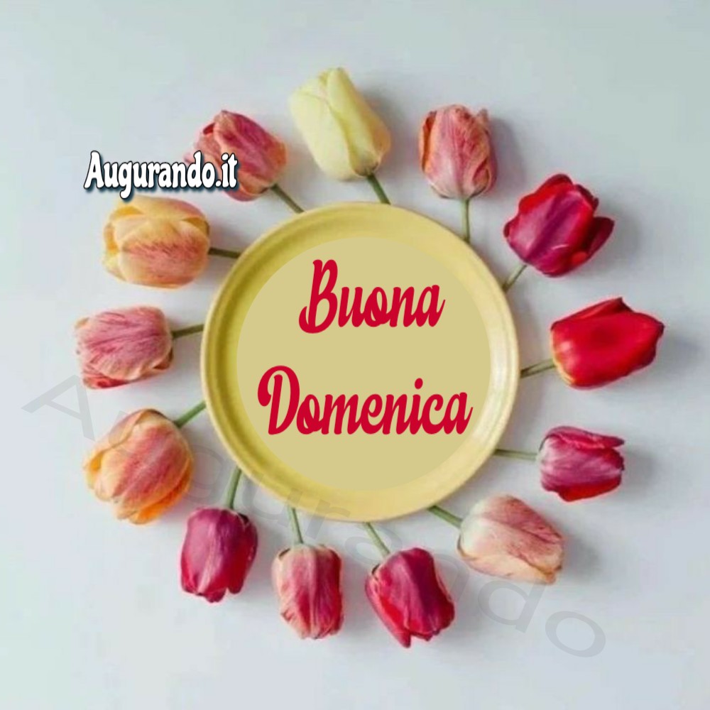 Immagini Buona Domenica Per Augurare Una Meravigliosa Giornata Immagini Buona Domenica Per Augurare Una Meravigliosa Giornata