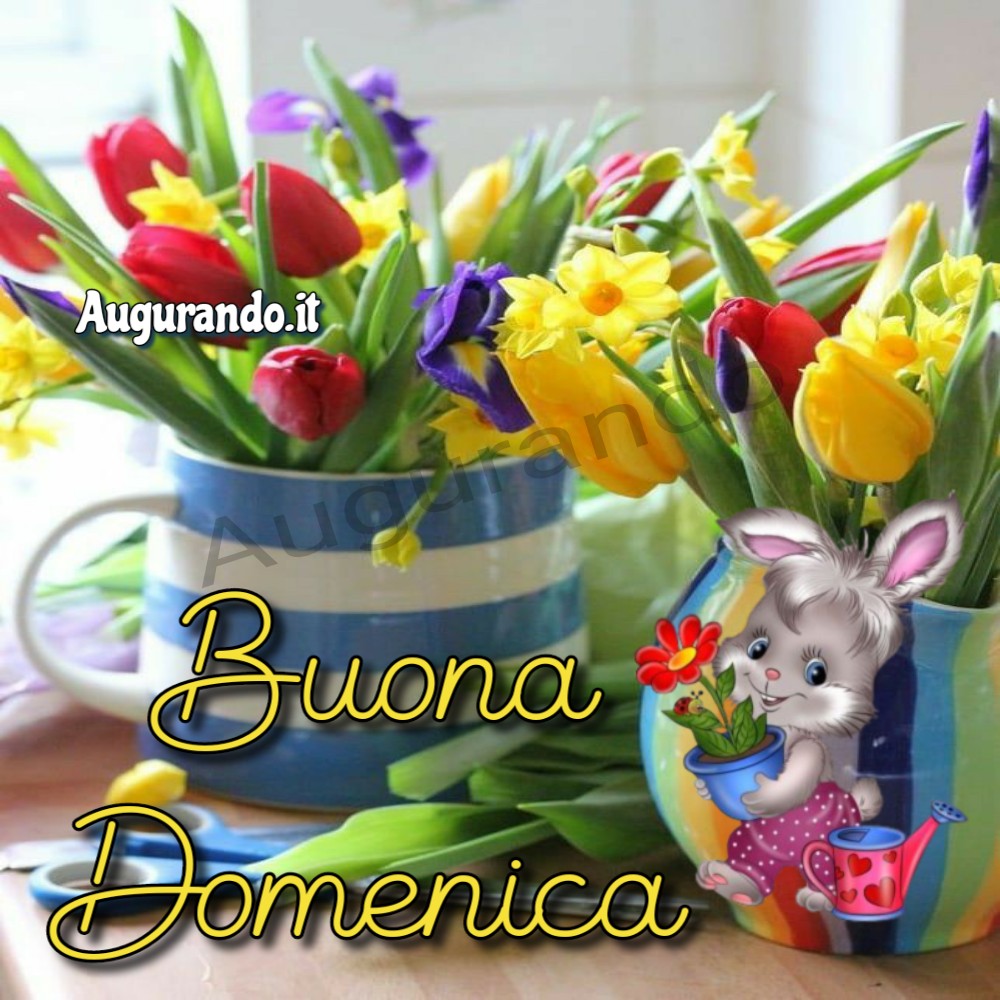 Immagini Buona Domenica Per Augurare Una Meravigliosa Giornata Immagini Buona Domenica Per Augurare Una Meravigliosa Giornata